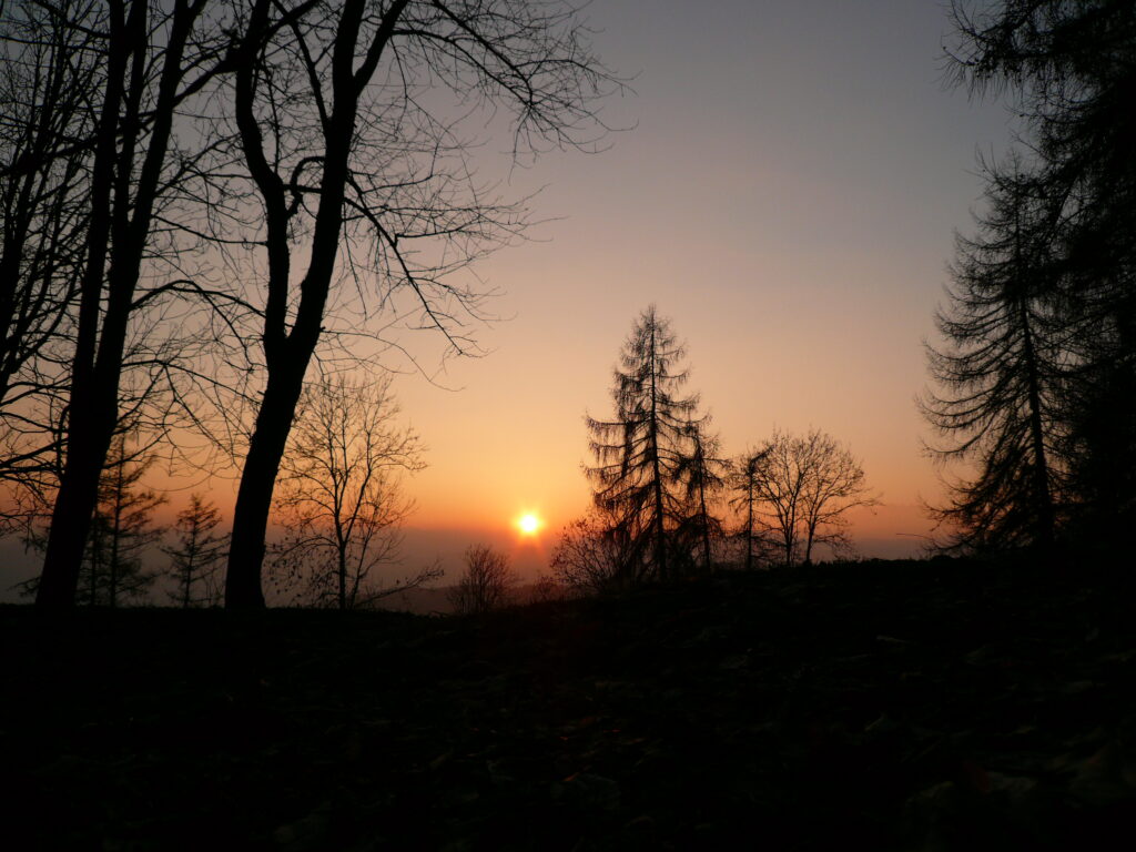 Photography | Mirakali