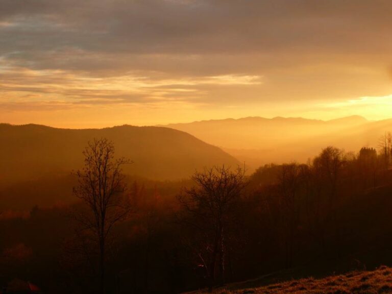 Photography | Mirakali